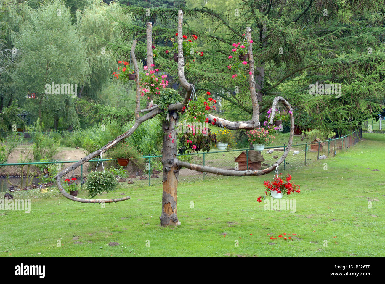 some beautiful flowers on a old tree Stock Photo - Alamy