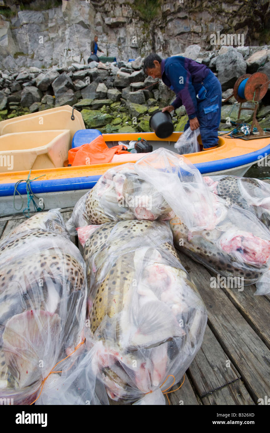 Inuit Fish High Resolution Stock Photography and Images - Alamy