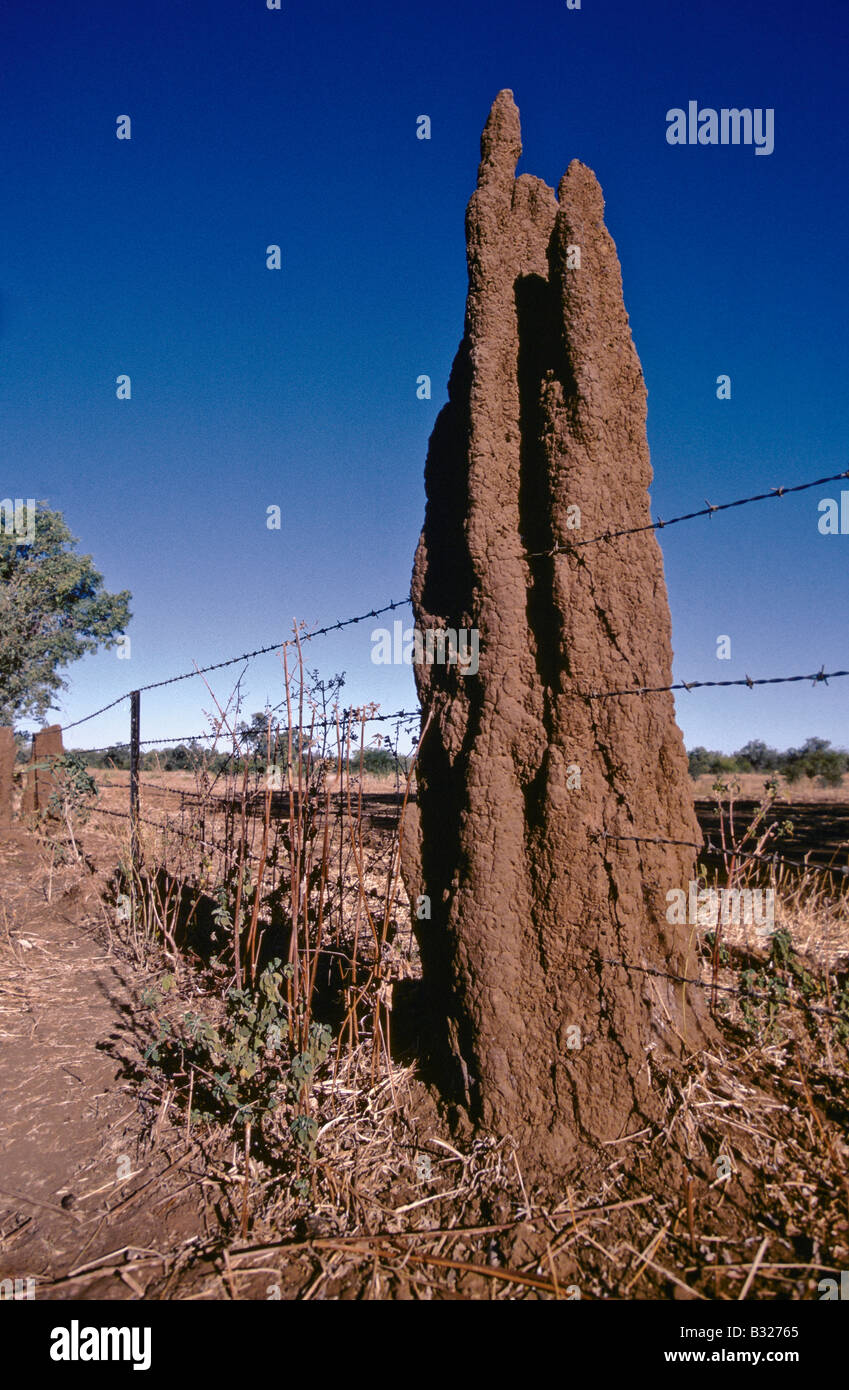 Termite tower hi-res stock photography and images - Alamy