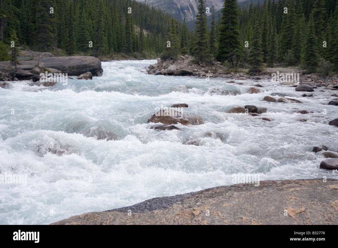 whitewater in the banff national park - mistaya river, canada Stock ...