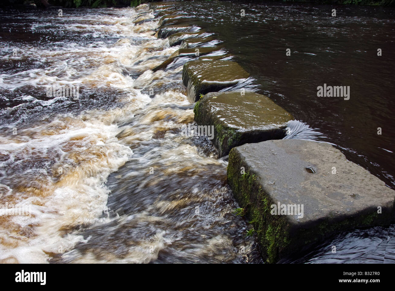 Stepping stones hi-res stock photography and images - Alamy