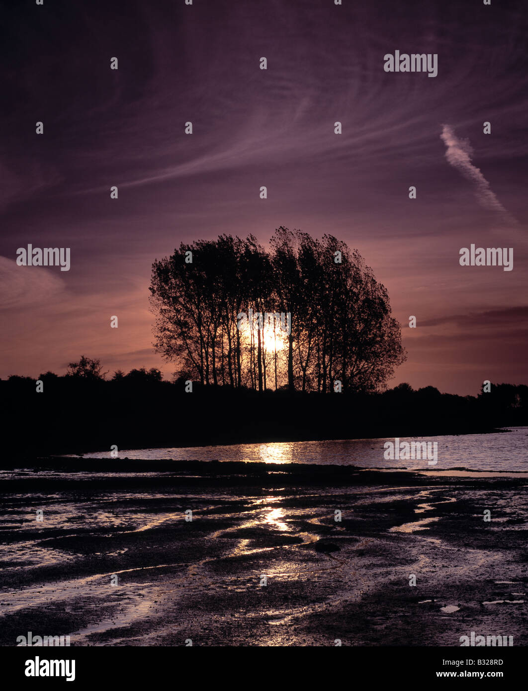 Rising sun behind tree hi-res stock photography and images - Alamy