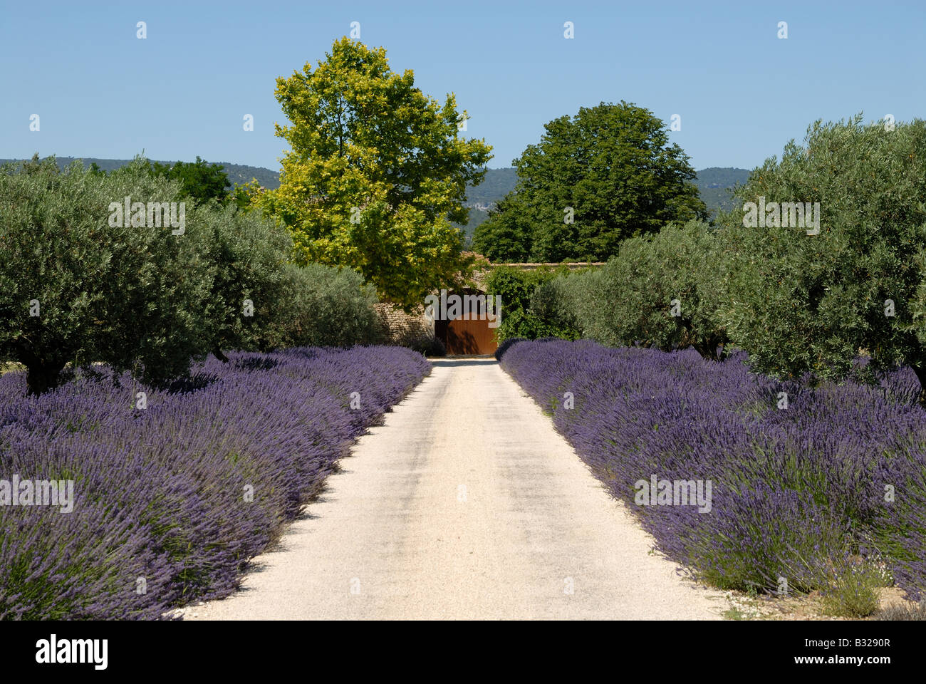 House in the Provence, southern France Stock Photo - Alamy