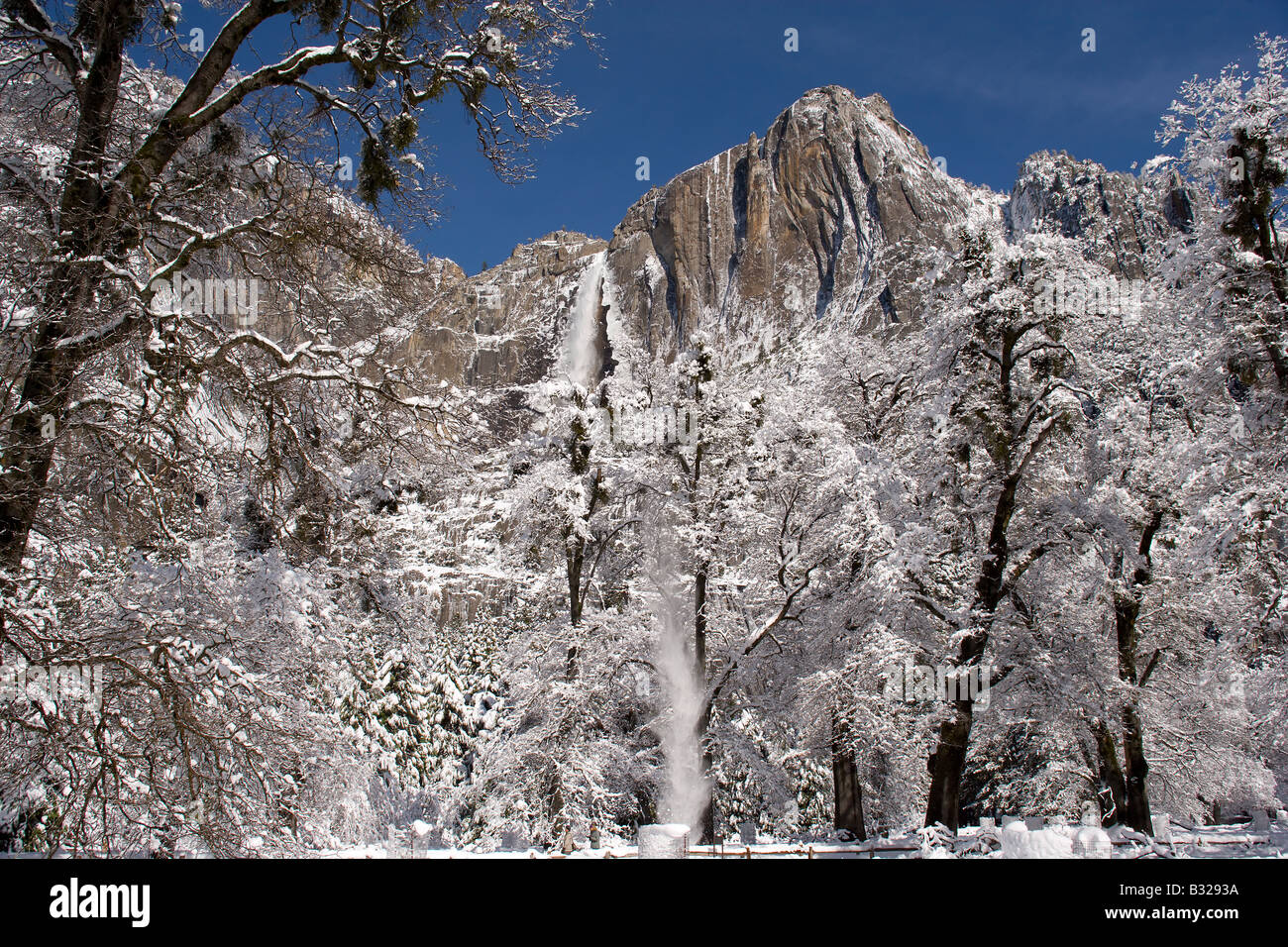 Upper Yosemite Falls cascades into a winter wonderland as early morning ...