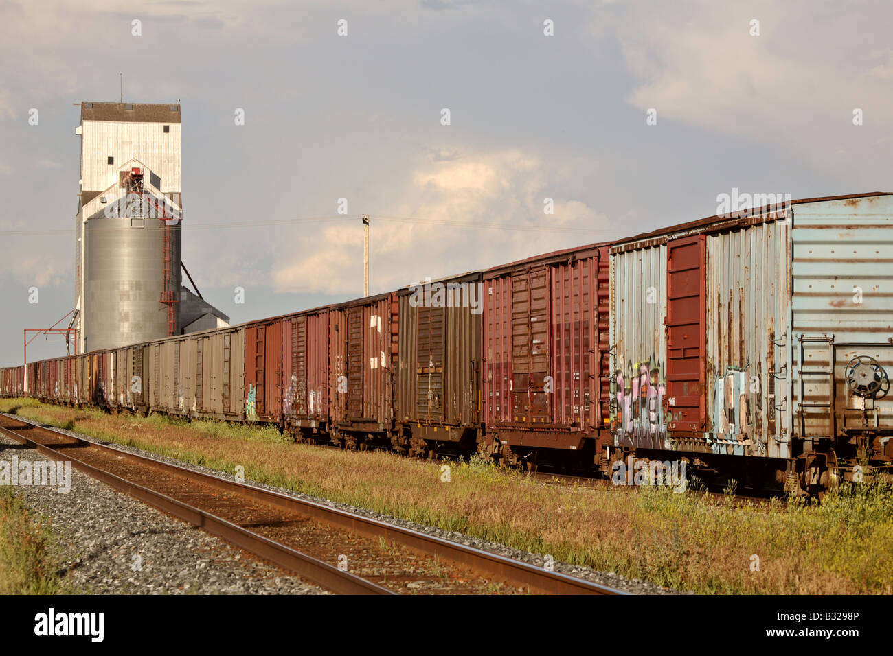 Boxcars parked on siding near grain elevator Stock Photo - Alamy