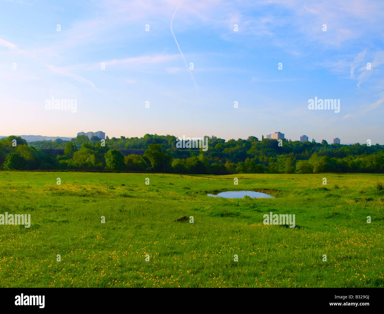 English Summer Field Meadow With Buildings in Background Stock Photo ...