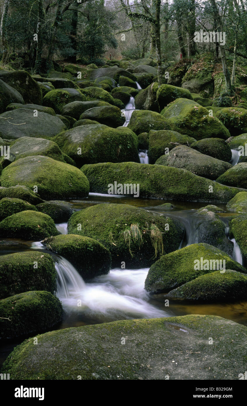 Becky falls hi-res stock photography and images - Alamy