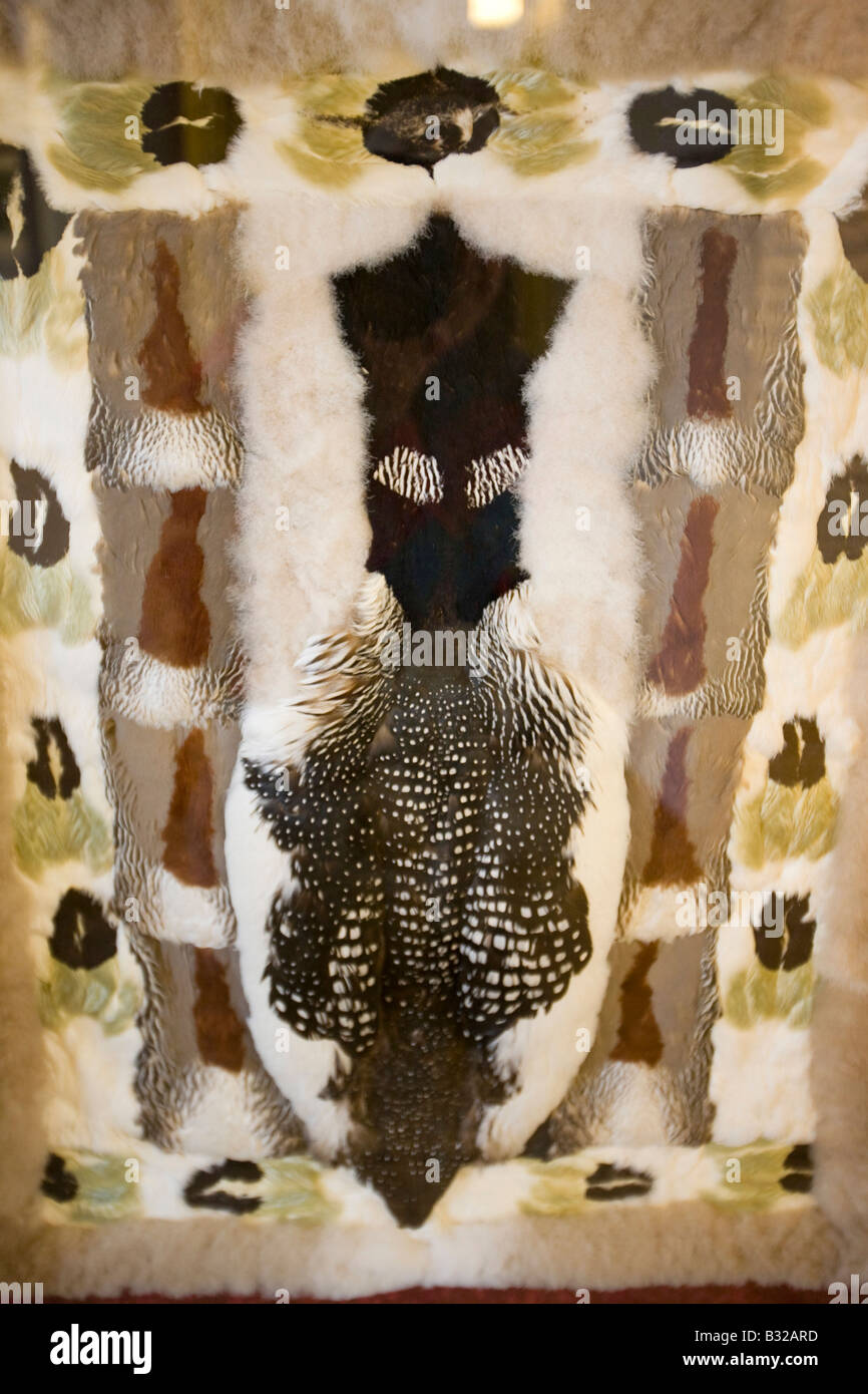 An art work made out of the skins of Eider Ducks Red Throated Divers ...