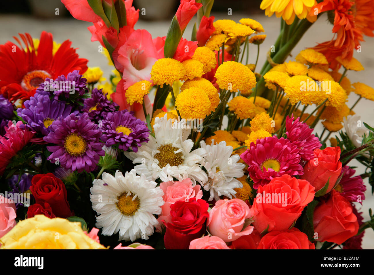 Bunch of flowers Stock Photo - Alamy