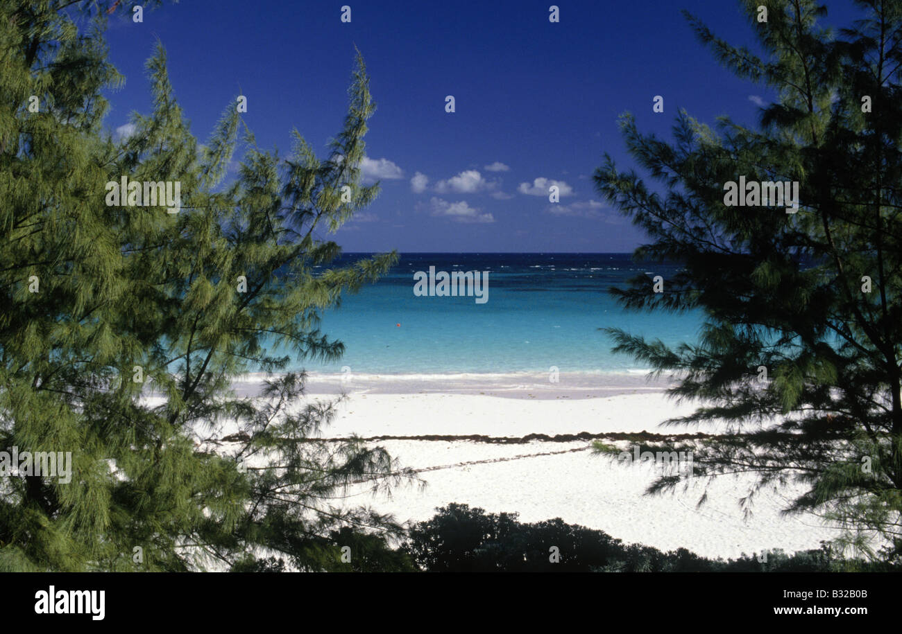 Pink sand beach Blue sea Framed by trees Family Islands CORAL SANDS ...