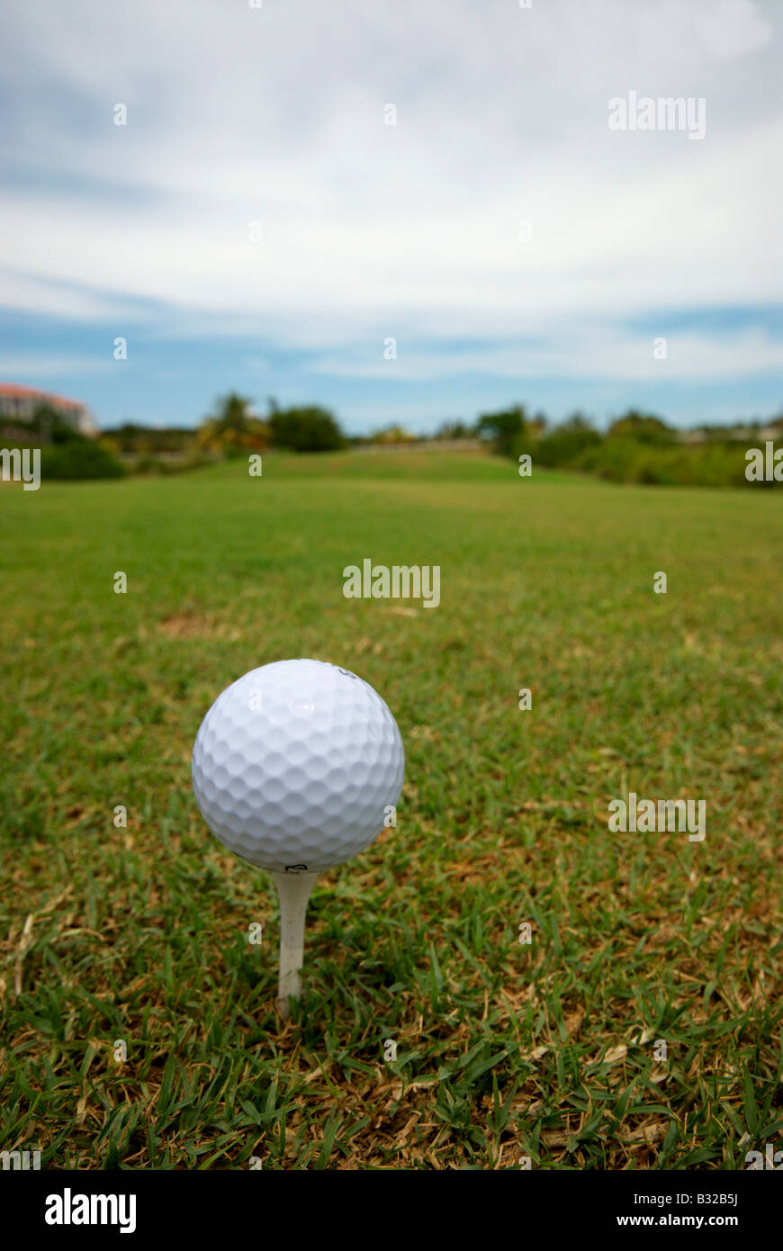 Golf Ball On Fairway Varadero Cuba Stock Photo - Alamy