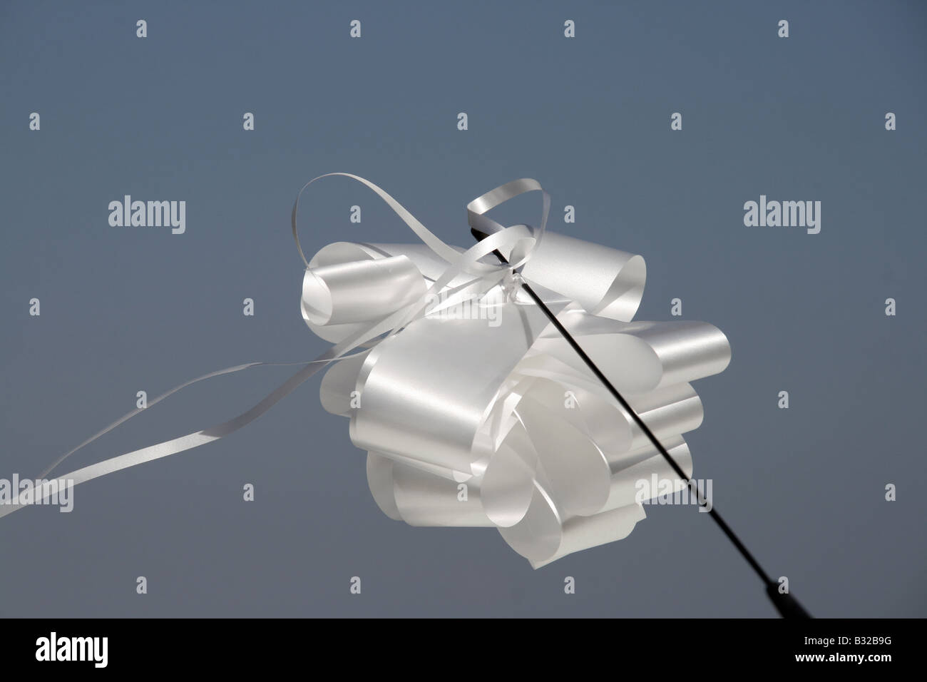 one white ribbon flying in wind on wedding car Stock Photo - Alamy