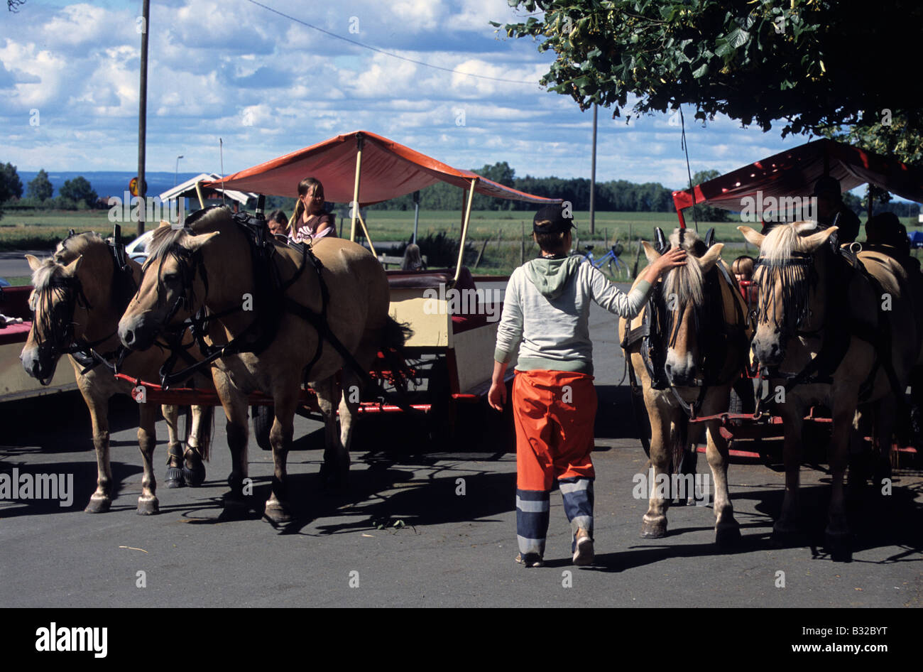Sweden Visingso island horse carriage waiting for tourists Stock Photo ...