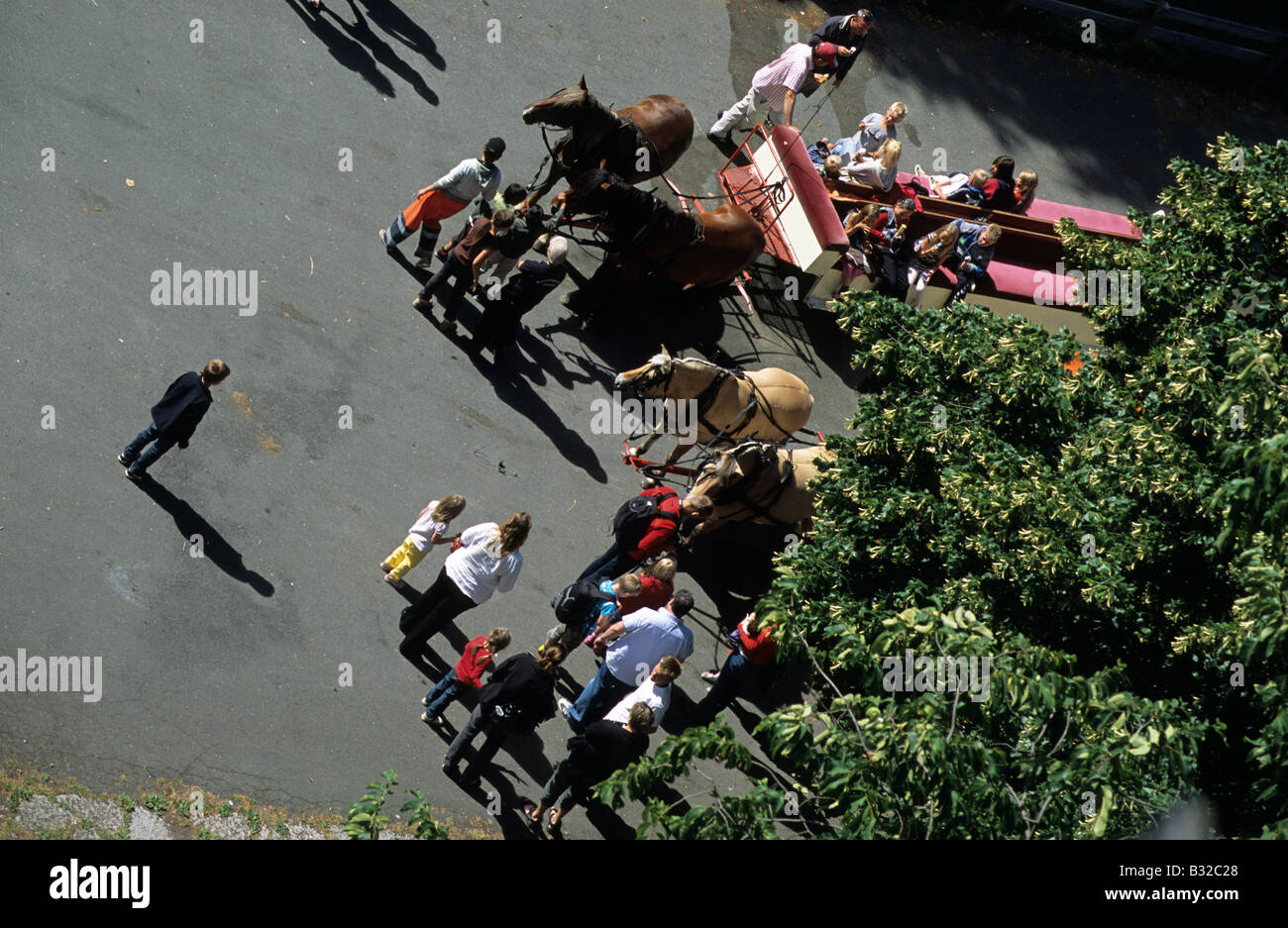 Sweden Visingso island horse carriage waiting for tourists Stock Photo ...