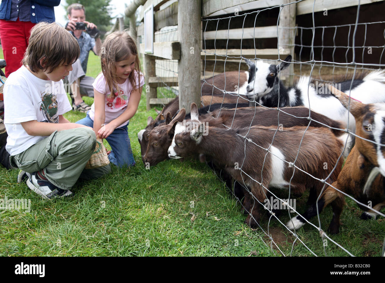 Pic Shows children with goats on Odds Farm Stock Photo - Alamy