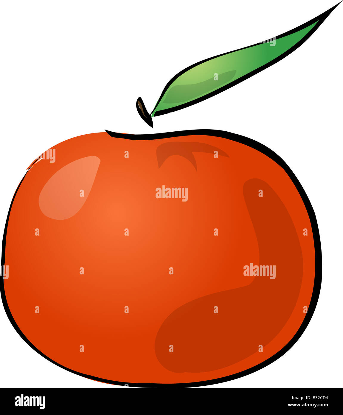 Tangerine fruit hand drawn colored lineart illustration Stock Photo - Alamy