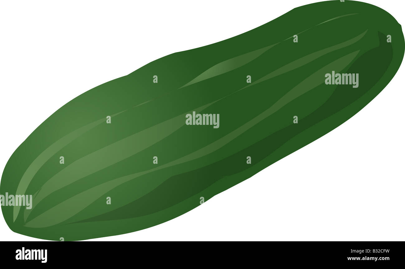 Sketch of a cucumber Hand drawn lineart look illustration Stock Photo ...