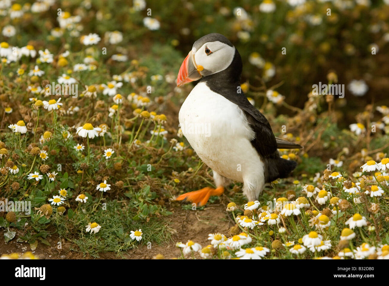 Click path hi-res stock photography and images - Alamy