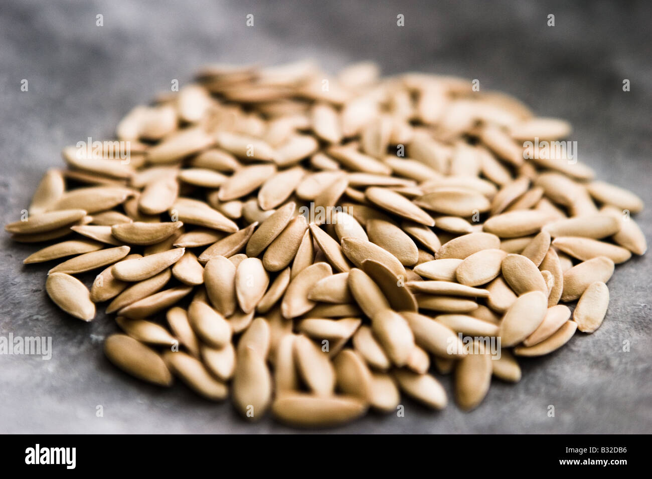 Melon (Cucumis melo) Seeds var. Honeydew Stock Photo - Alamy