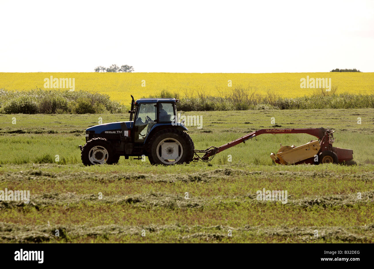 Swathing hay hi-res stock photography and images - Alamy