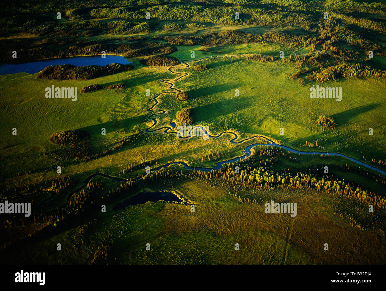 Low altitude aerial view of lush green tundra and rivers in the ...