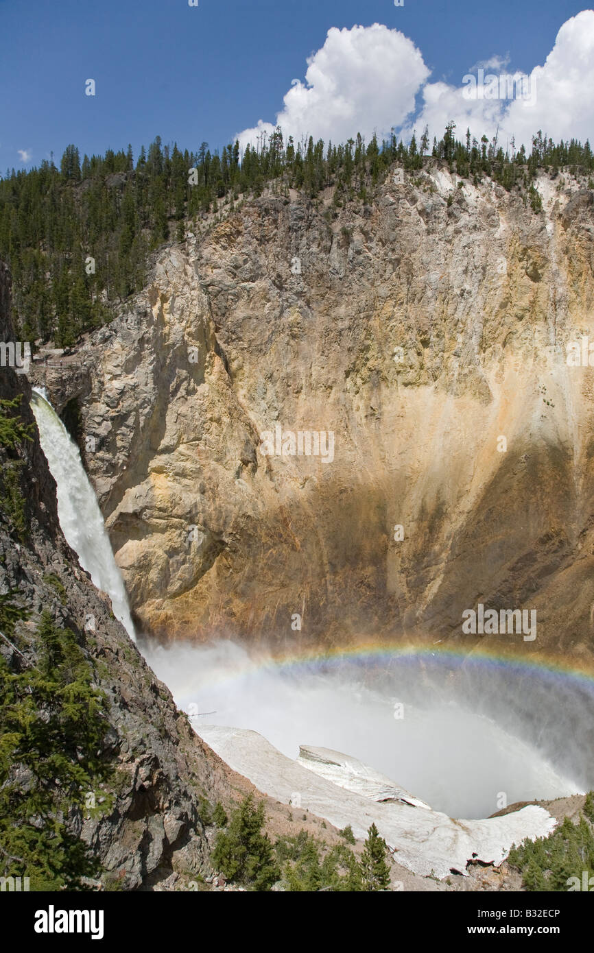 A RAINBOW forms in the mist of LOWER YELLOWSTONE FALLS as it drops into ...