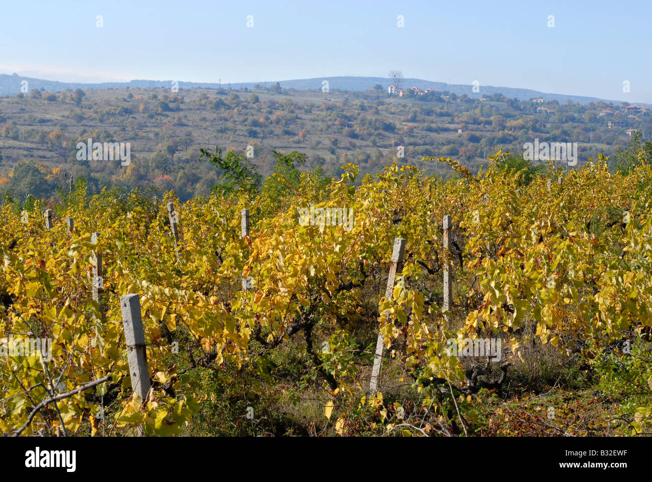 Bulgarian farming hi-res stock photography and images - Alamy