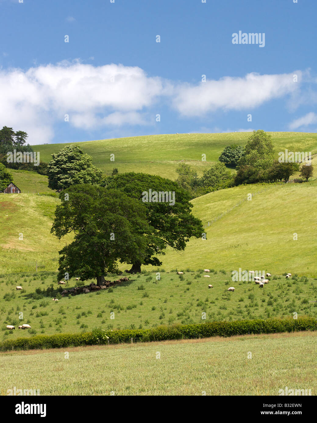 Agricultural landscape wales hi-res stock photography and images - Alamy
