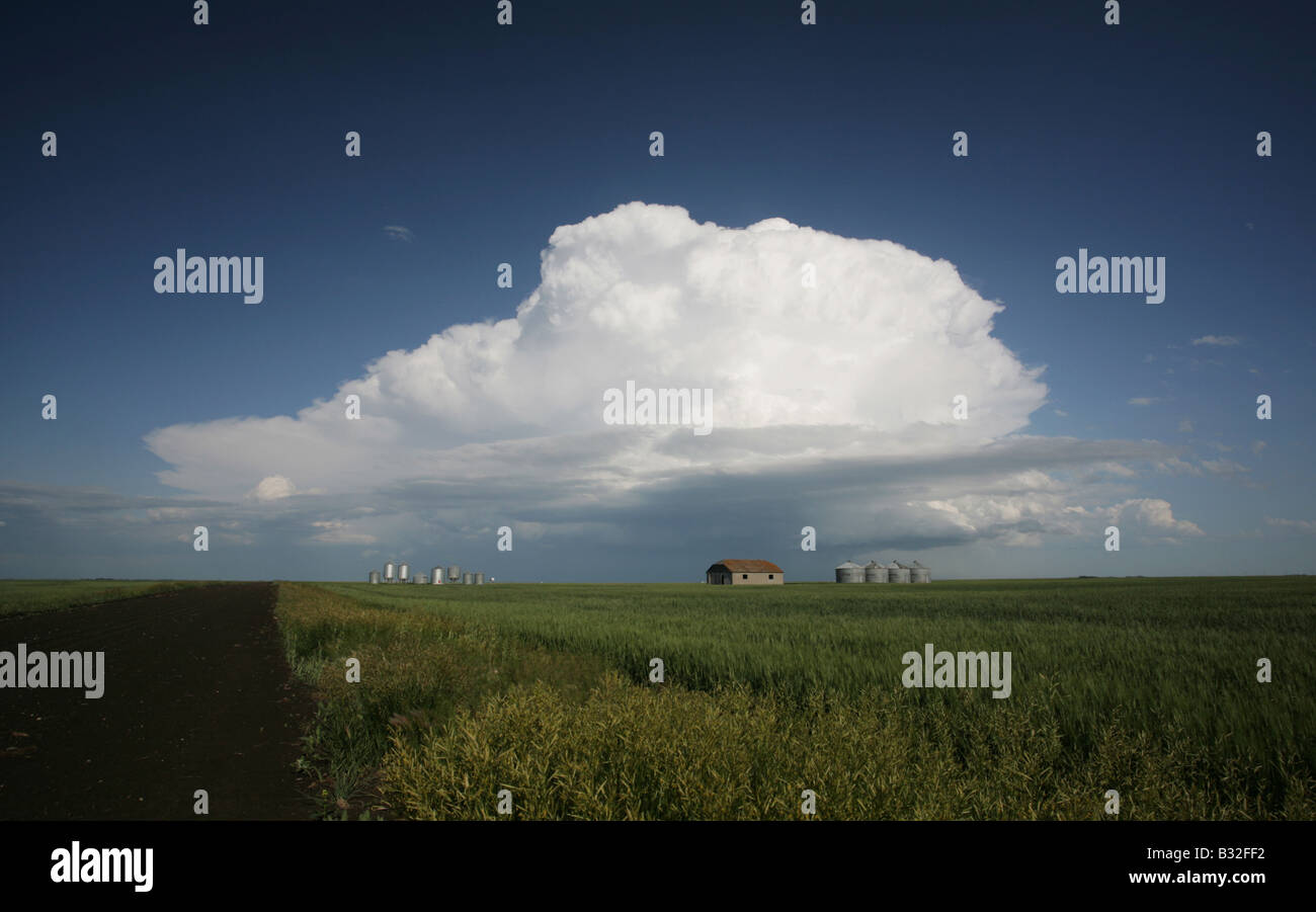 Farm granaries hi-res stock photography and images - Alamy
