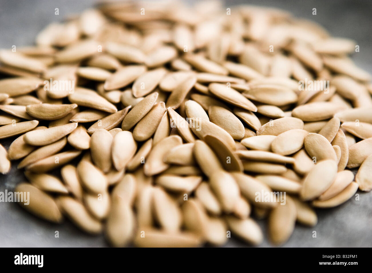 Planta de melon hi-res stock photography and images - Alamy