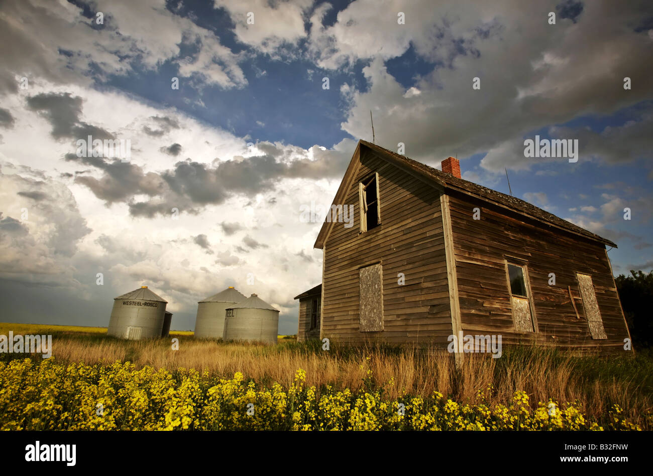 An old Saskatchewan homestead Stock Photo - Alamy