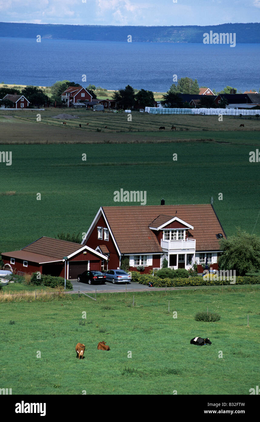 Sweden Visingso island bird eye view of cottage and lake Stock Photo ...