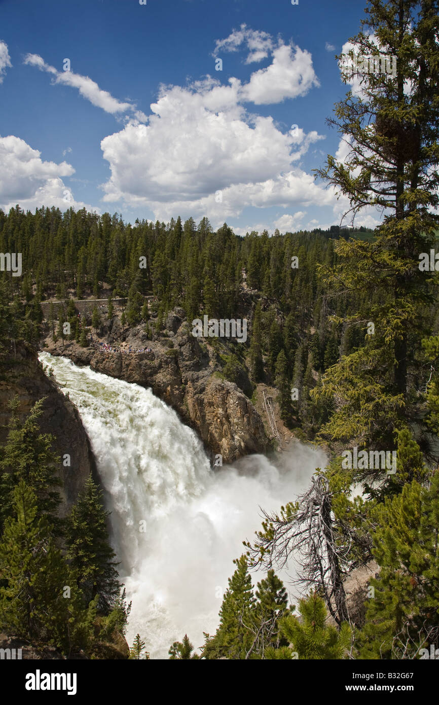 The UPPER YELLOWSTONE FALLS and the YELLOWSTONE RIVER during spring ...