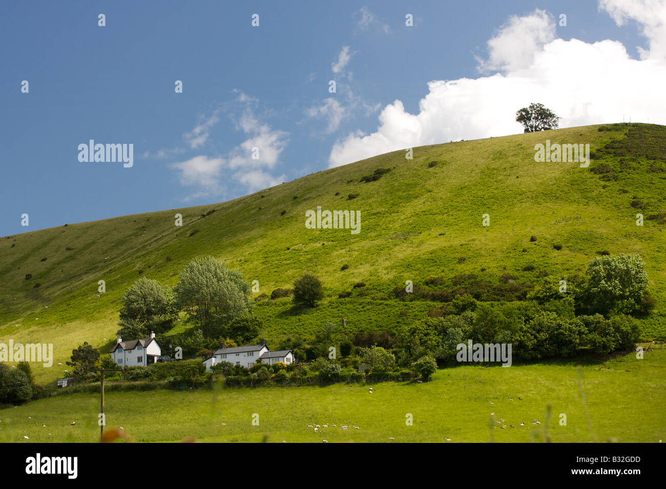 The Welsh countryside on a summers day Stock Photo - Alamy