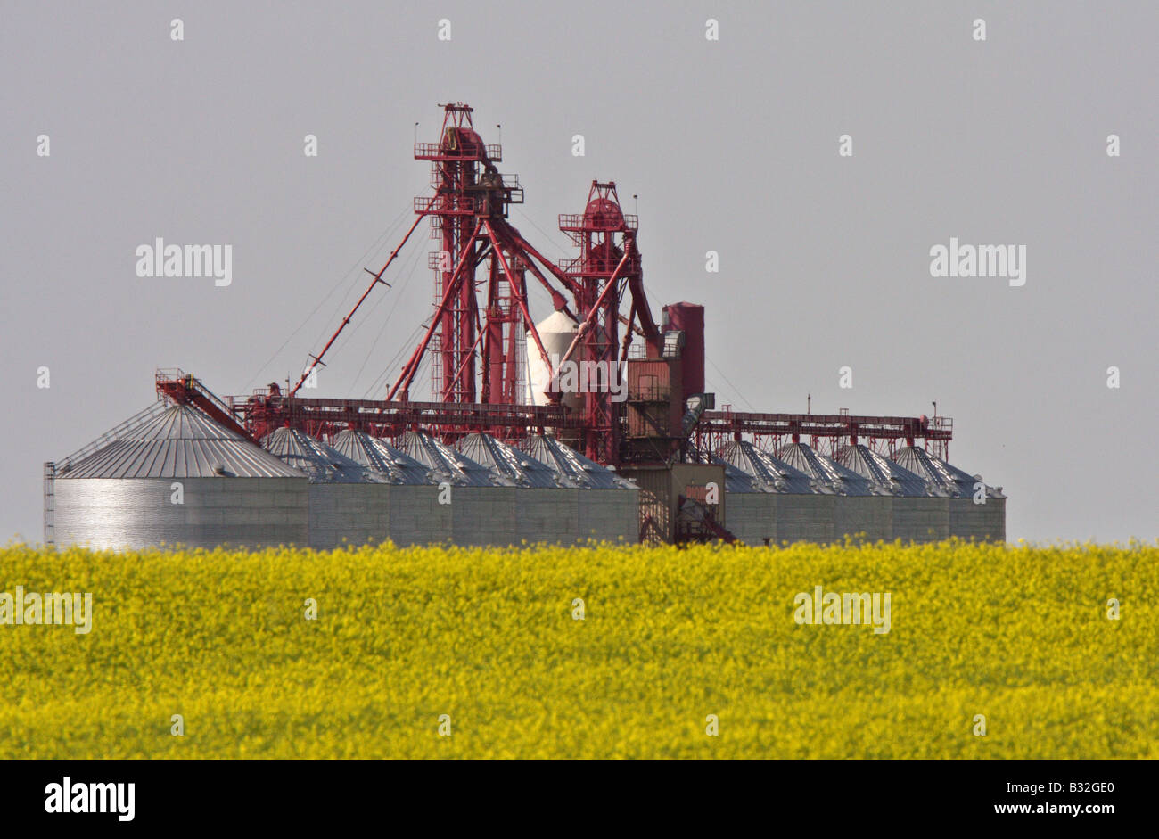 seed cleaning plant near canola crop Stock Photo - Alamy