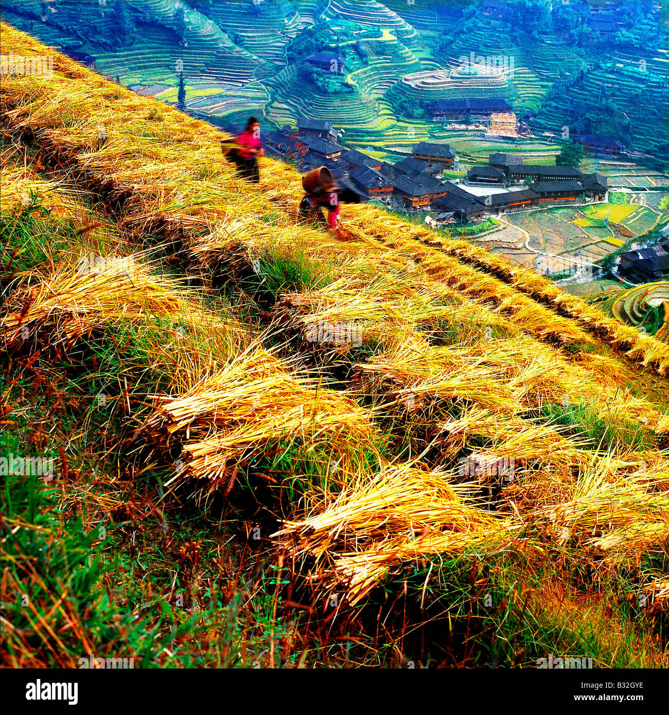Guizhou china hi-res stock photography and images - Alamy