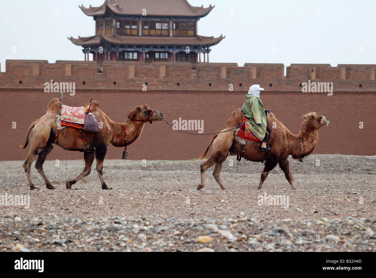 Chinese Woman Riding Camel On Jiayuguan Pass Stock Photo - Alamy