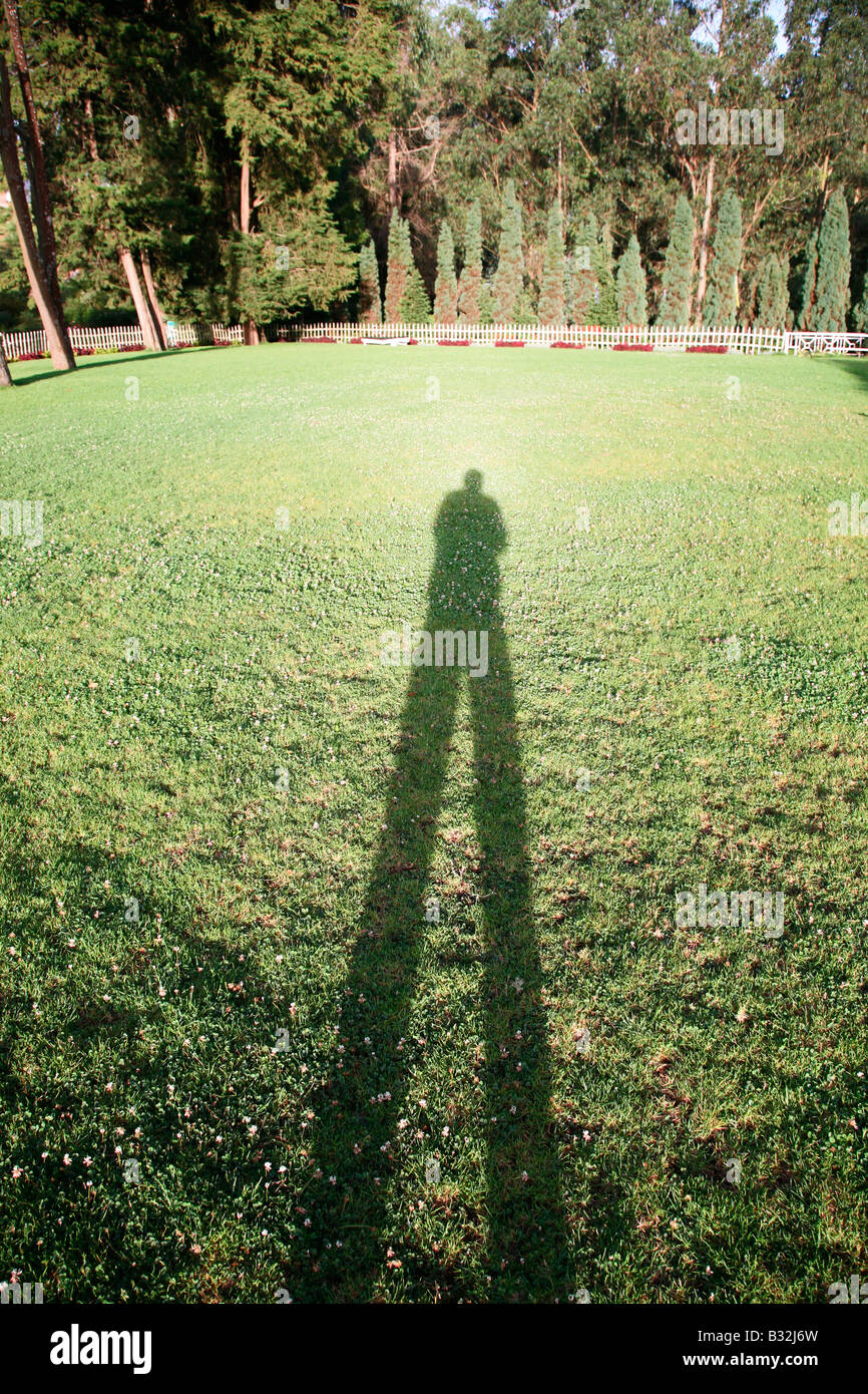 A Man's shadow on a lawn in ooty,India Stock Photo - Alamy