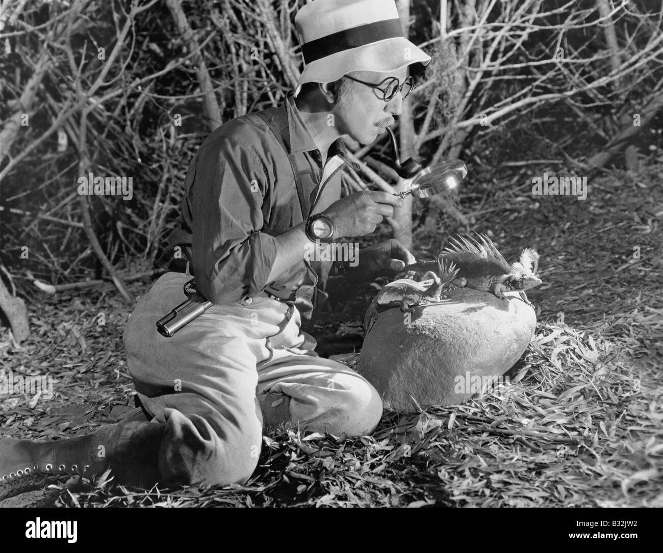 Adult specimen Black and White Stock Photos & Images - Alamy