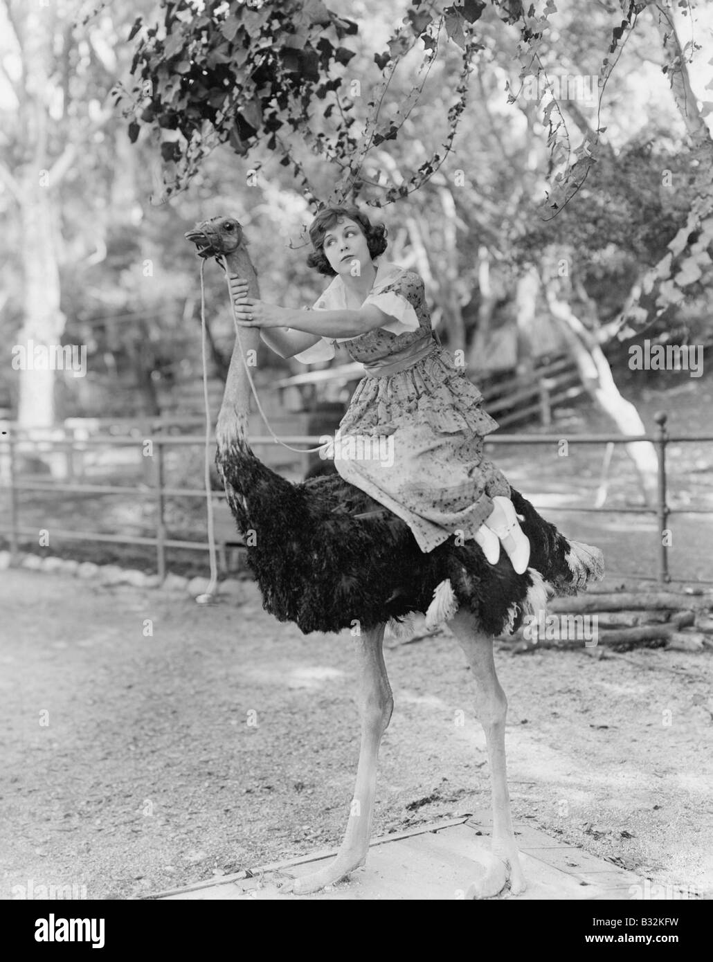 Woman riding ostrich Stock Photo - Alamy