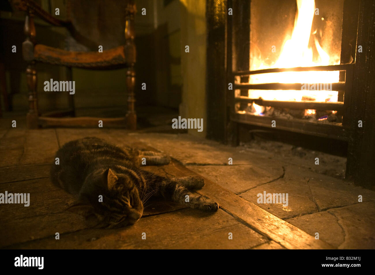 Fire cat hi-res stock photography and images - Alamy