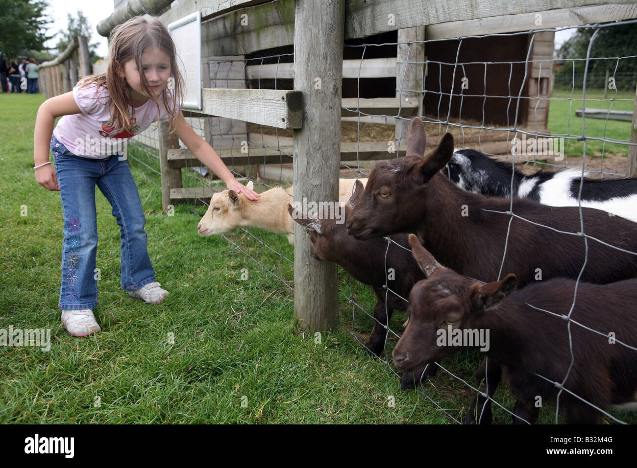 Odds Farm High Resolution Stock Photography and Images - Alamy