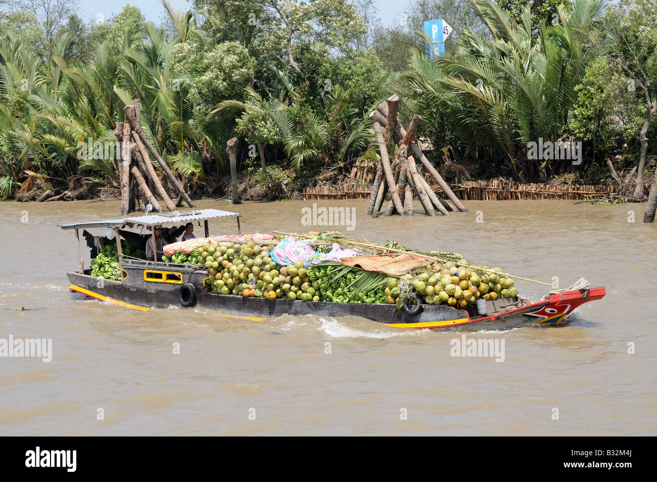 Coconuts being transported on a traditional cargo barge with painted ...