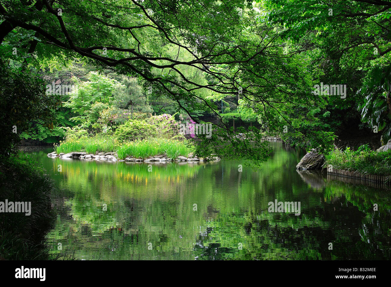 Nature Scenes In Japan Stock Photo - Alamy