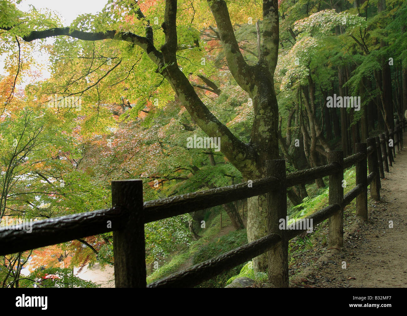 Nature Scenes In Japan Stock Photo - Alamy