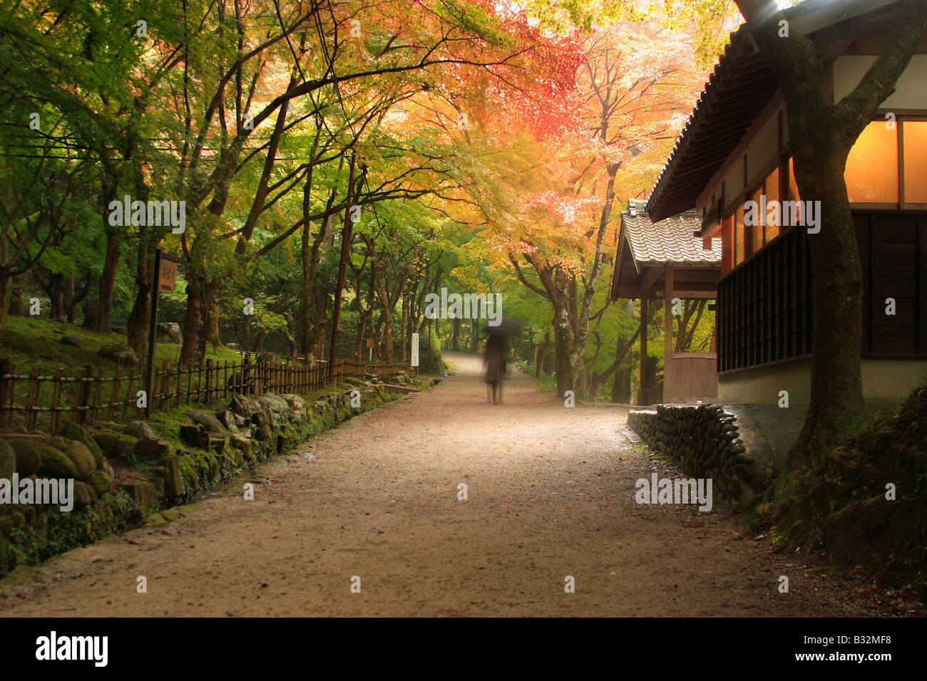 Nature Scenes In Japan Stock Photo - Alamy