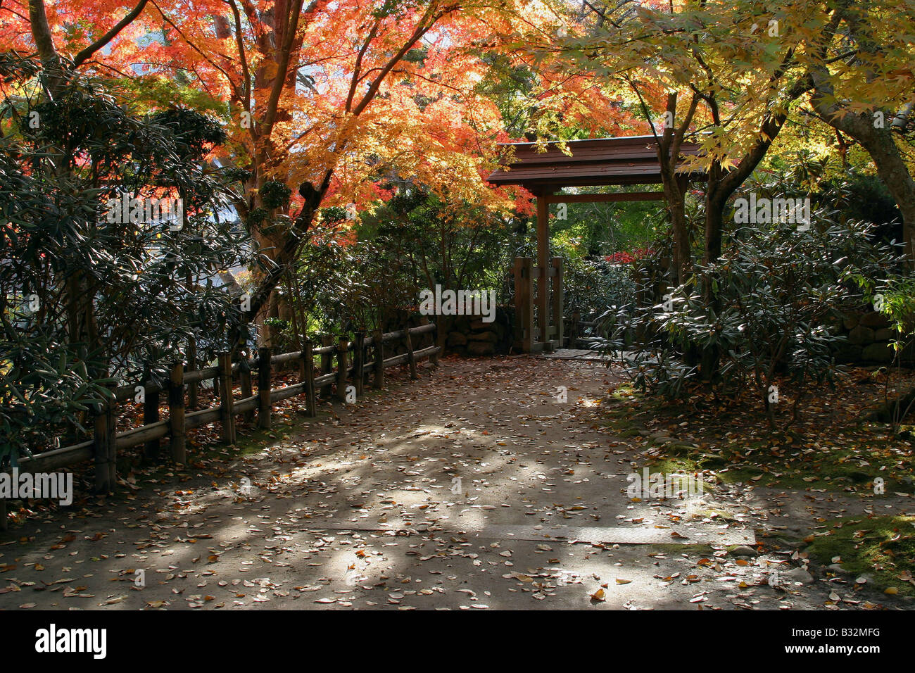 Nature Scenes In Japan Stock Photo - Alamy