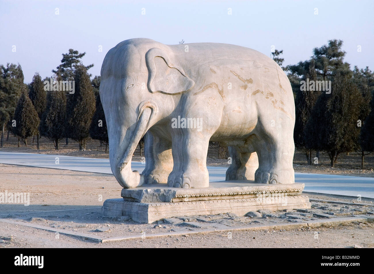 Asian Elephant Images High Resolution Stock Photography and Images - Alamy