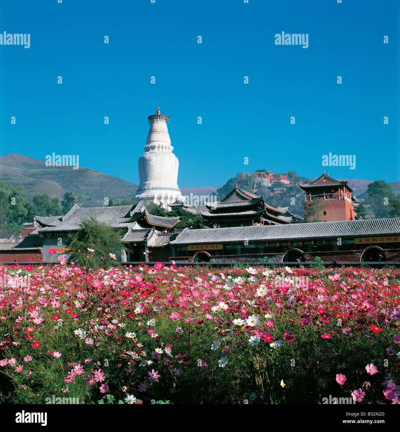 Wutai temple hi-res stock photography and images - Alamy