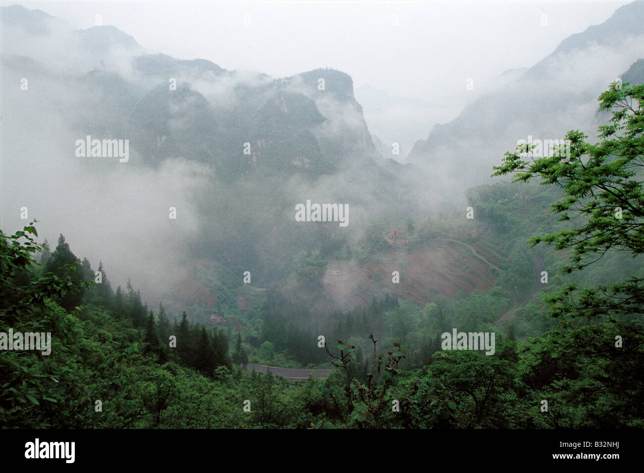 Nature Scene In Shennongjia,Hubei,China Stock Photo - Alamy